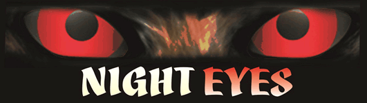 Night Eyes Hunting Lights - LED Predator Hunting Lights – Night Eyes ...